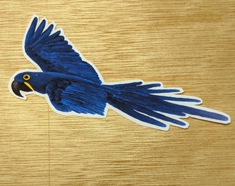 Hyacinth Macaw - Etsy