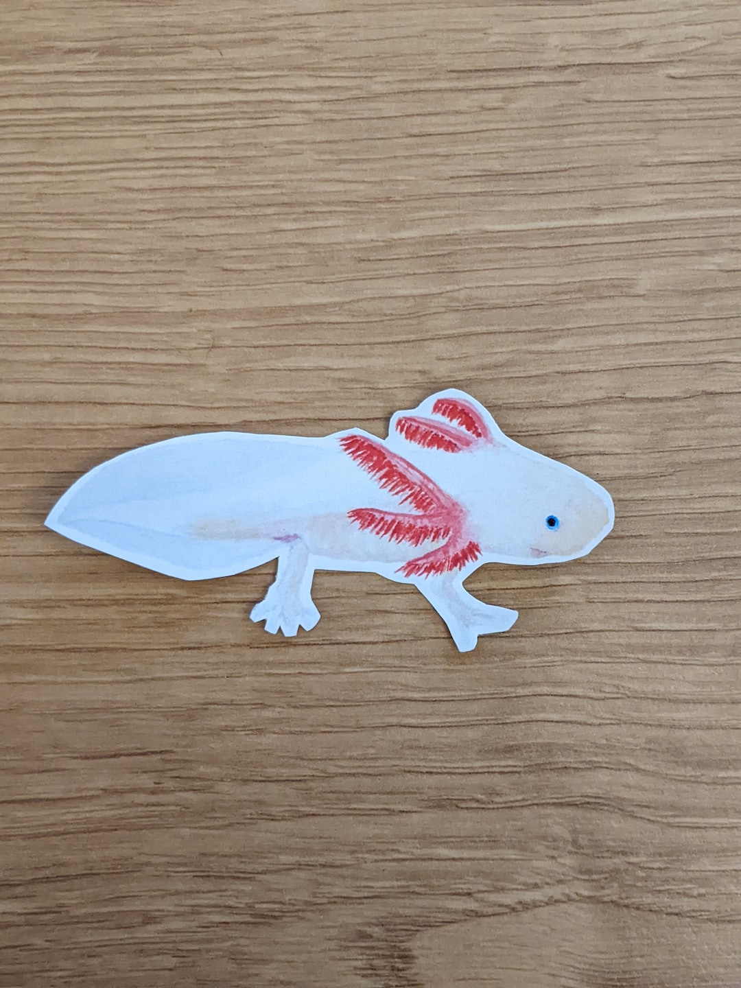 Axolotl Full Body Sticker Axolotl Name Tag Vinyl Sticker - Etsy