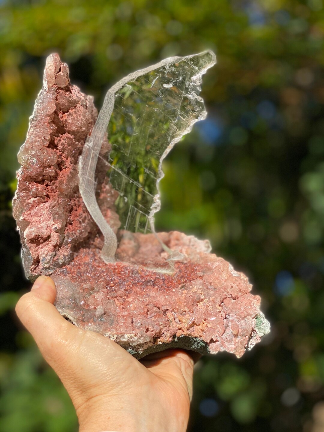 Selenite Crystal Geode , Moon Decor, Mineral Specimen, Selenite Decor ...