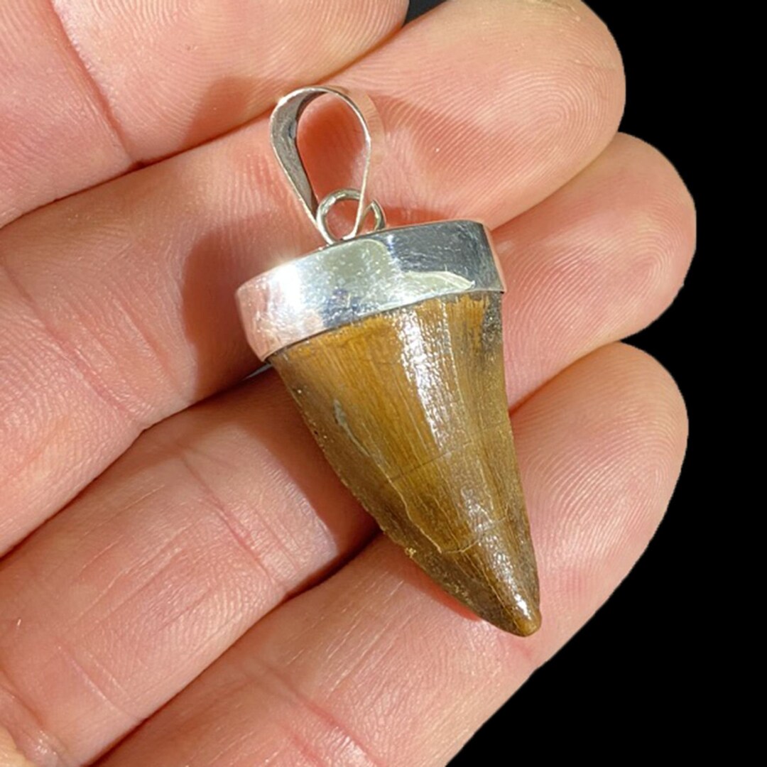 Mosasaur Tooth Pendant, Mens Pendant, Shark Tooth Pendant, Mens ...