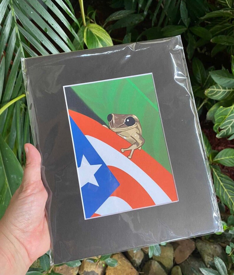 Coqui With Puerto Rico Flag | Etsy