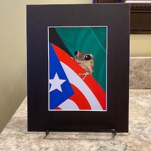 Coqui With Puerto Rico Flag - Etsy