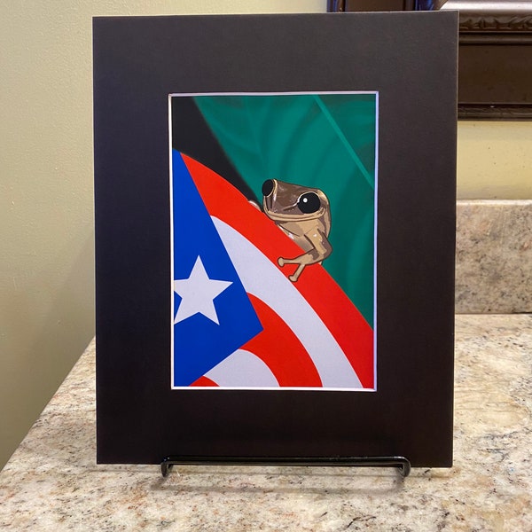Coqui - Etsy