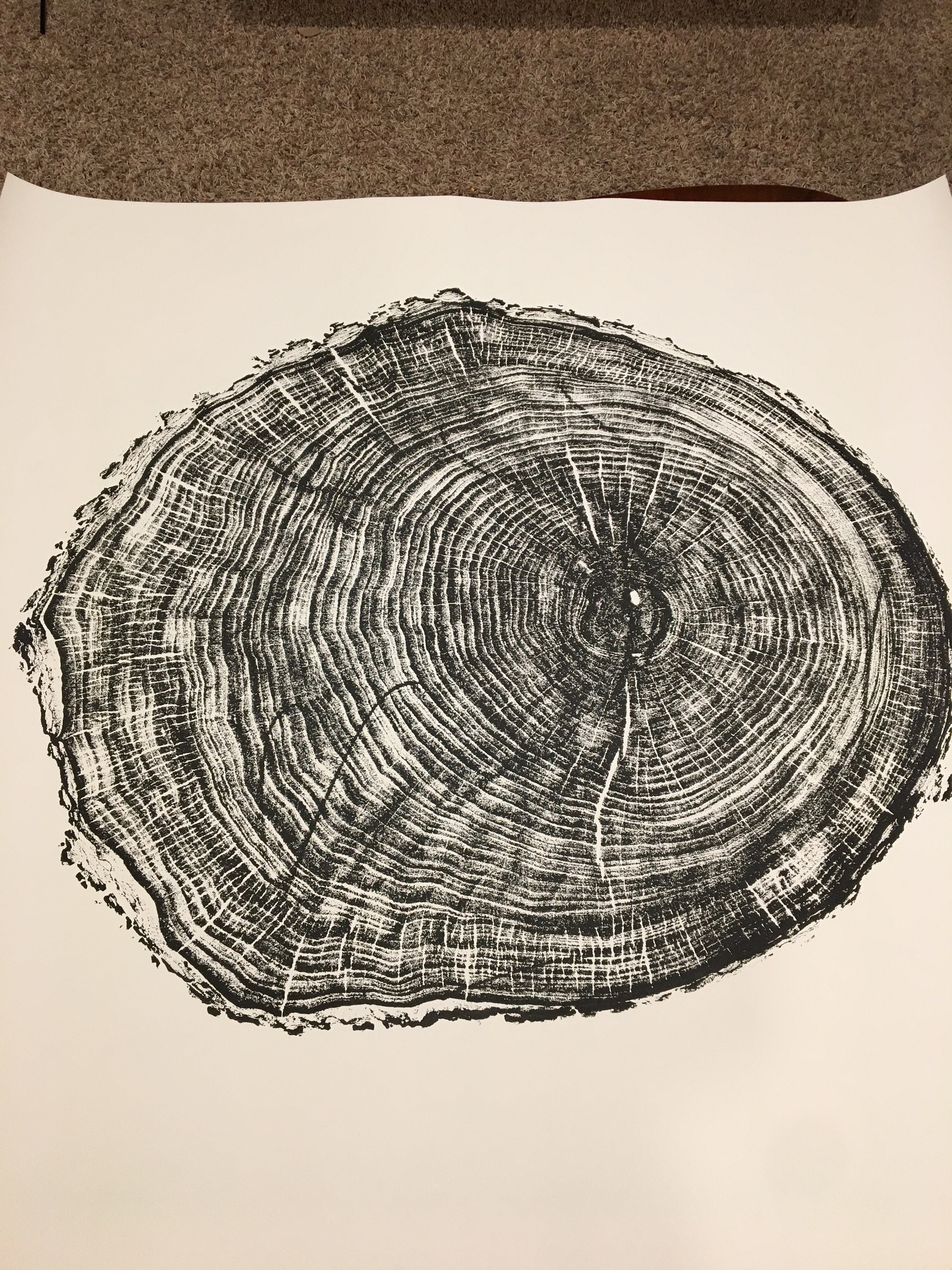 39x39 Original Tree Ring Relief Print Walnut on White, m - Etsy