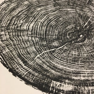 39"x39" Original Tree Ring Relief Print Walnut on White, "m" - Etsy