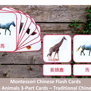 Mandarin Flash Cards // Animals // 16 Cards montessori // | Etsy