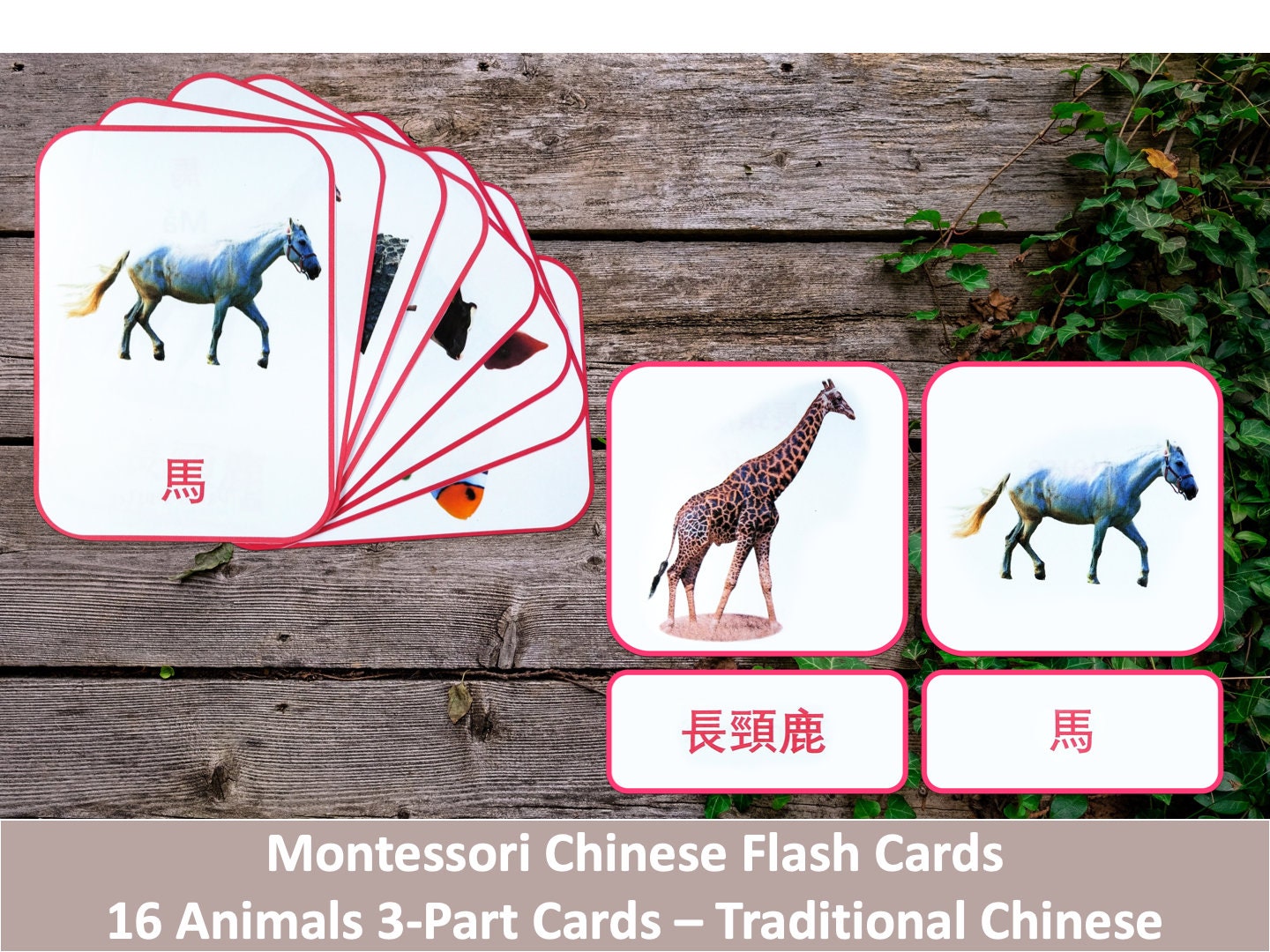 Mandarin Flash Cards // Animals //16 Cards montessori // Pinyin ...