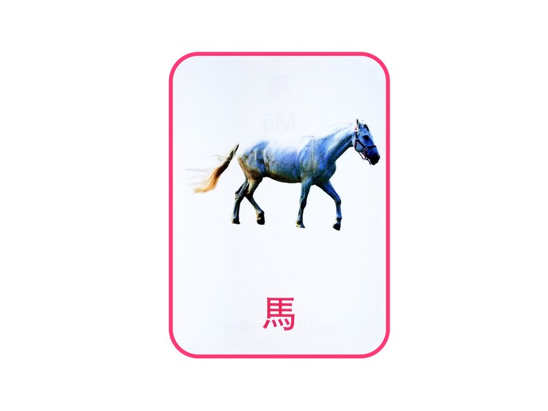 Mandarin Flash Cards // Animals //16 Cards montessori // Pinyin ...