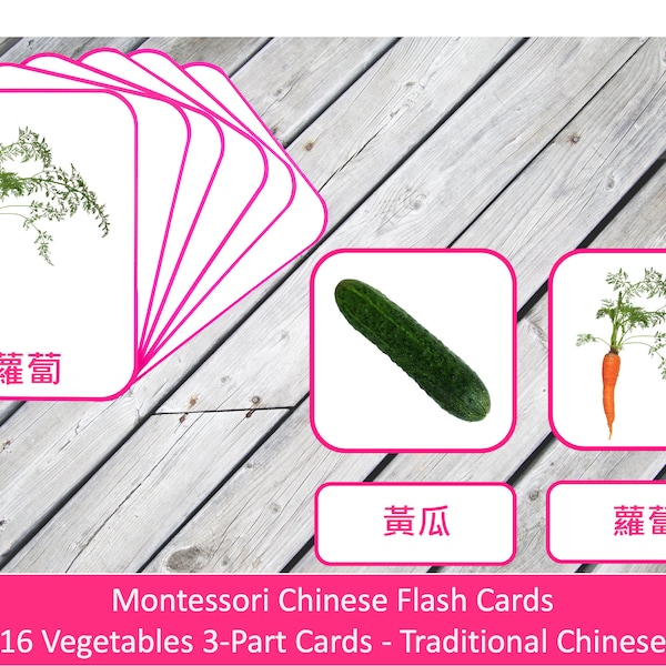 Chinese Food Flash Cards - Etsy
