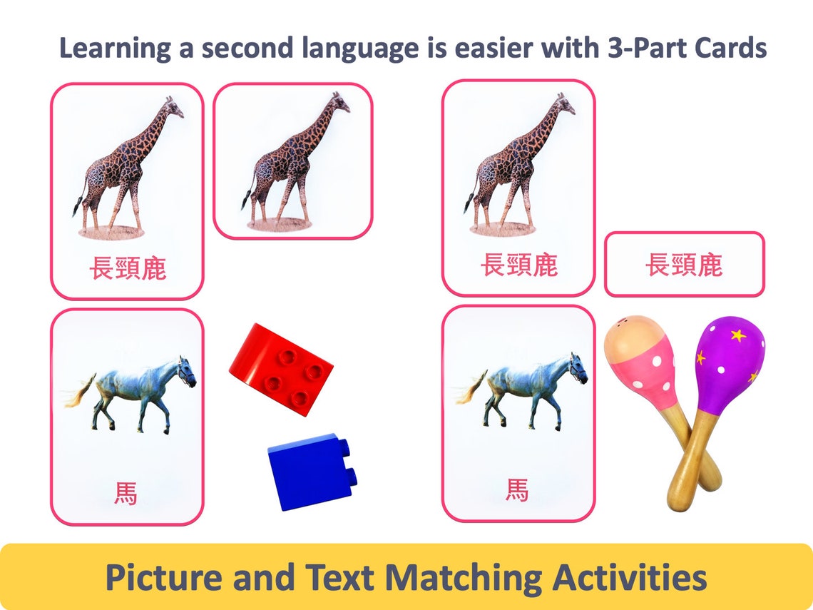 Mandarin Flash Cards // Animals //16 Cards montessori // Pinyin ...