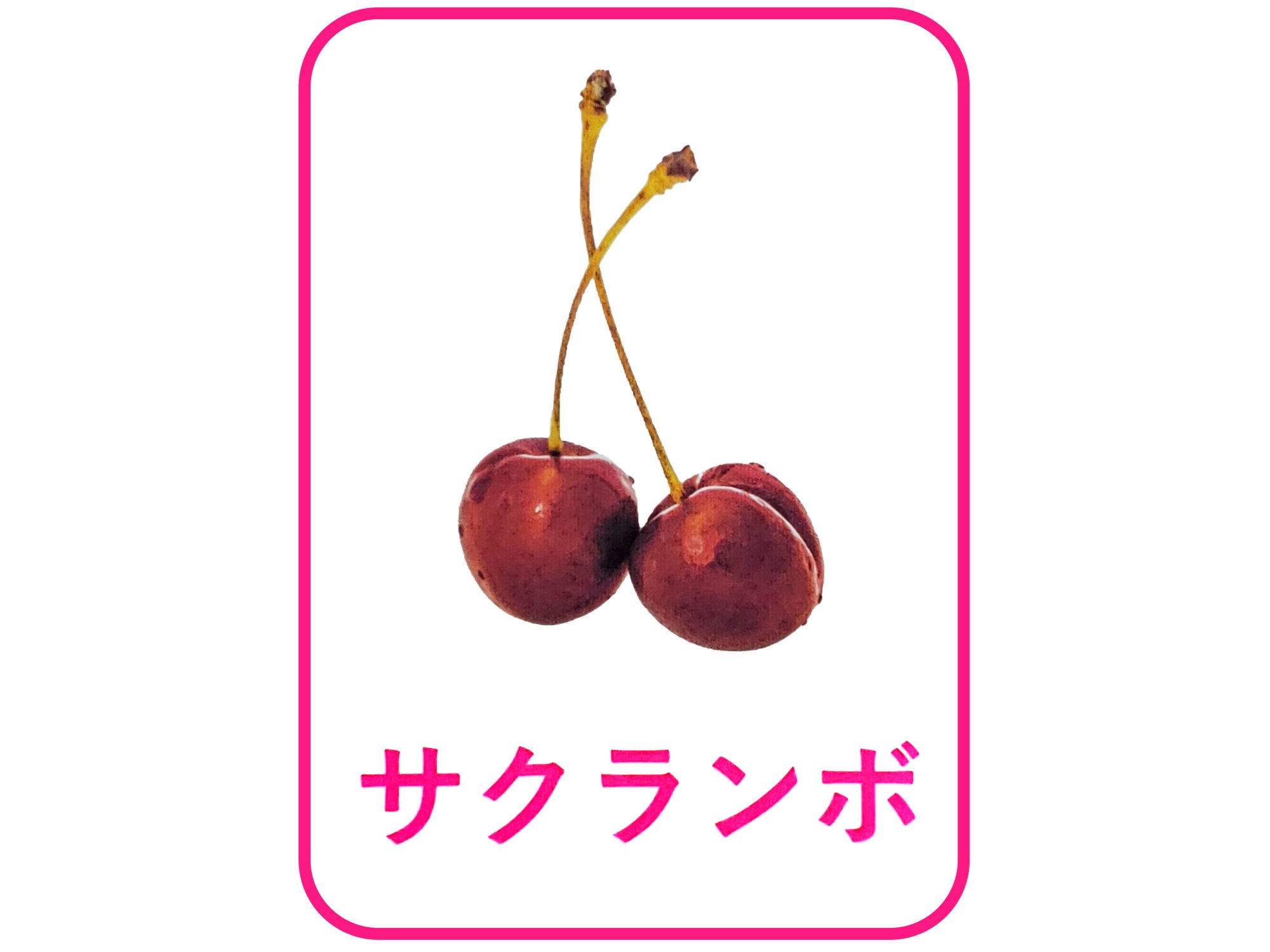 Katakana Flash Cards // Fruit //13 Cards montessori // - Etsy