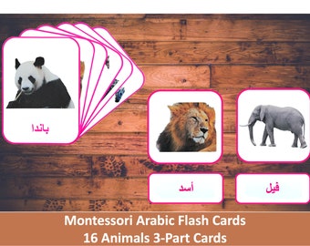 Arabic Montessori - Etsy