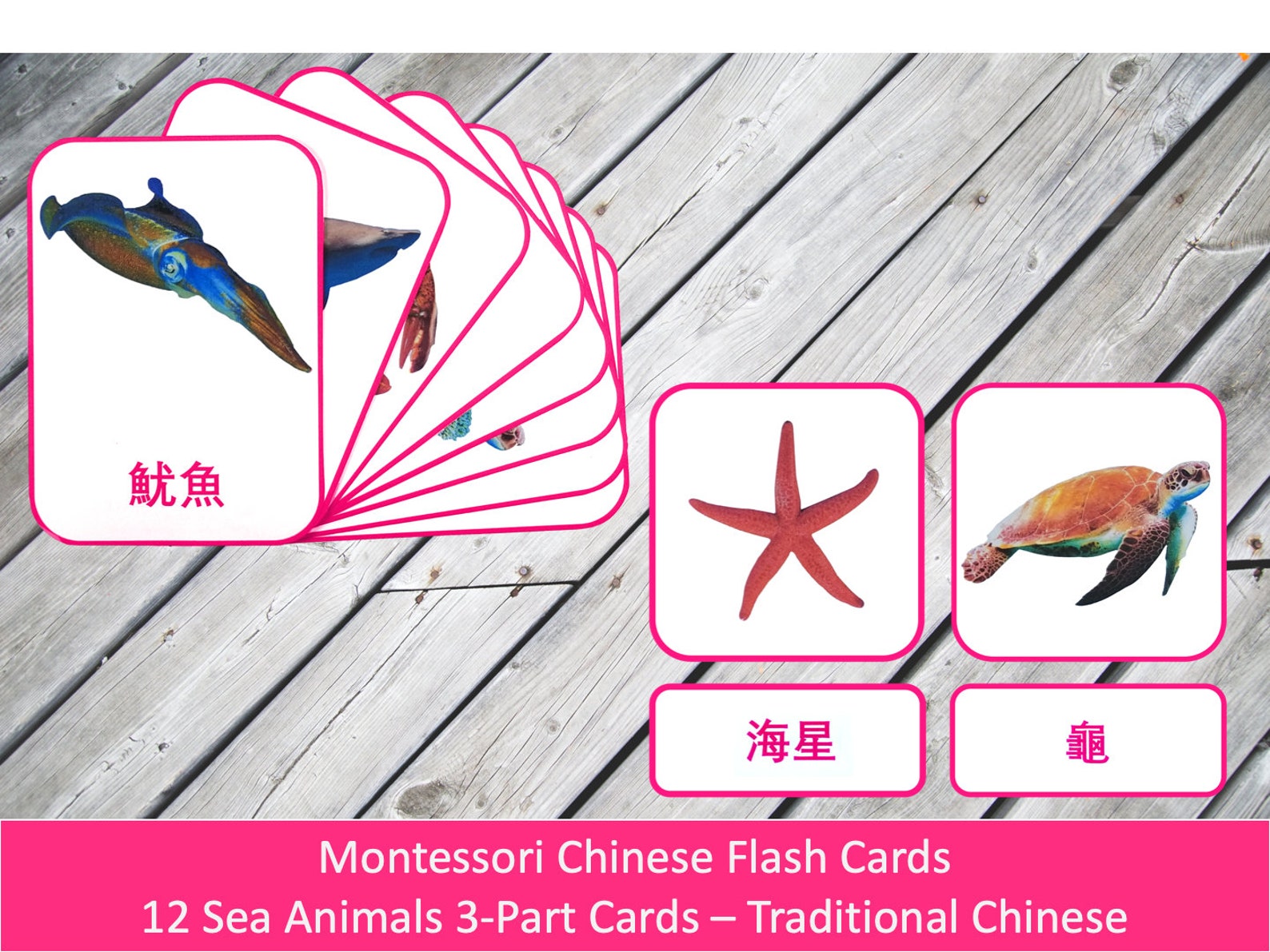 Mandarin Flash Cards // Sea Animals //12 Cards montessori // Pinyin ...