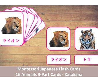 Japanese Katakana Flash Cards - Etsy