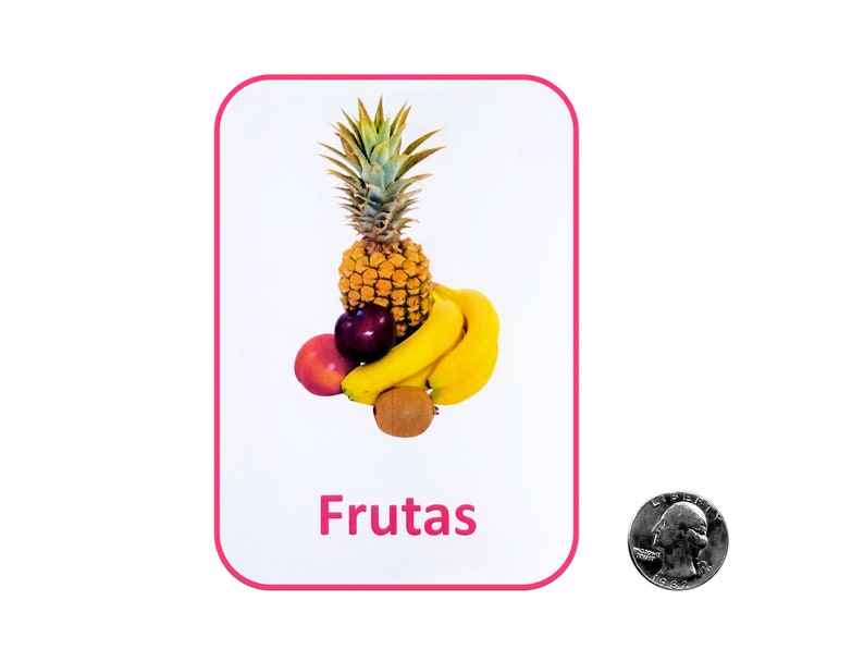 Mandarin Flash Cards // Animals //16 Cards montessori // Pinyin ...