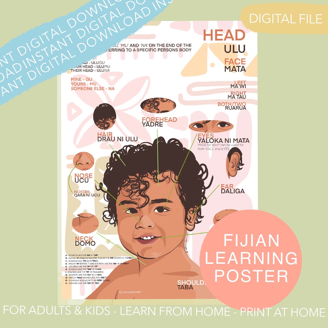 Fijian Learning Poster - Body Parts - Head and Face - Digital Download ...