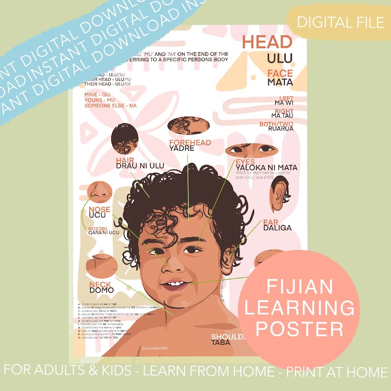 Fijian Learning Poster - Body Parts - Head and Face - Digital Download ...
