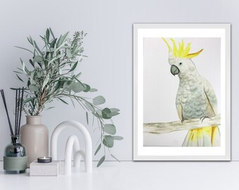 Watercolour Long-billed Corellas Print Native Australian Bird Prints ...