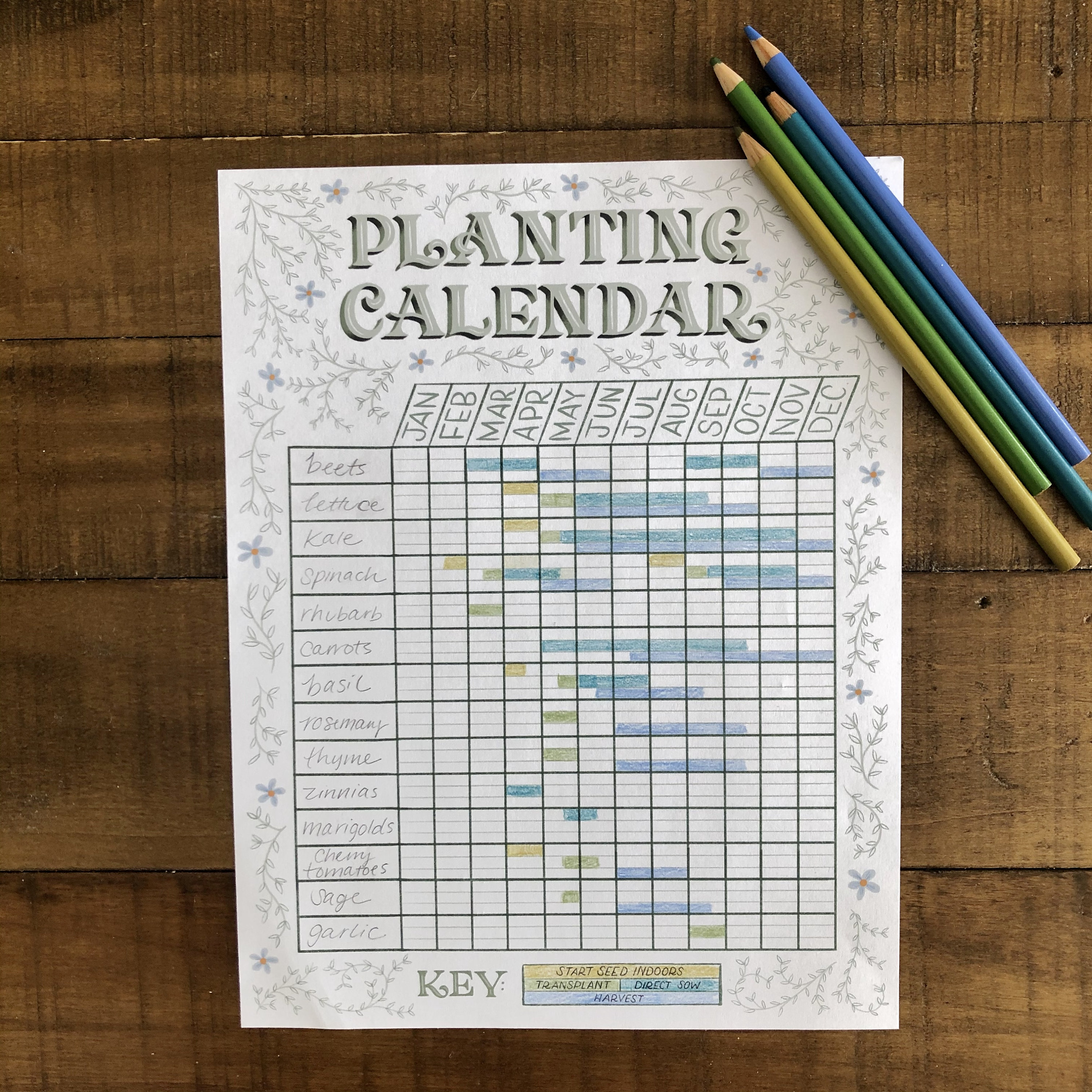 Printable Planting Calendar: Customizable, Hand-lettered & Illustrated ...