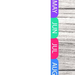 Erin Condren Monthly Tabs, Printable Planner Stickers, Divider Tabs ...