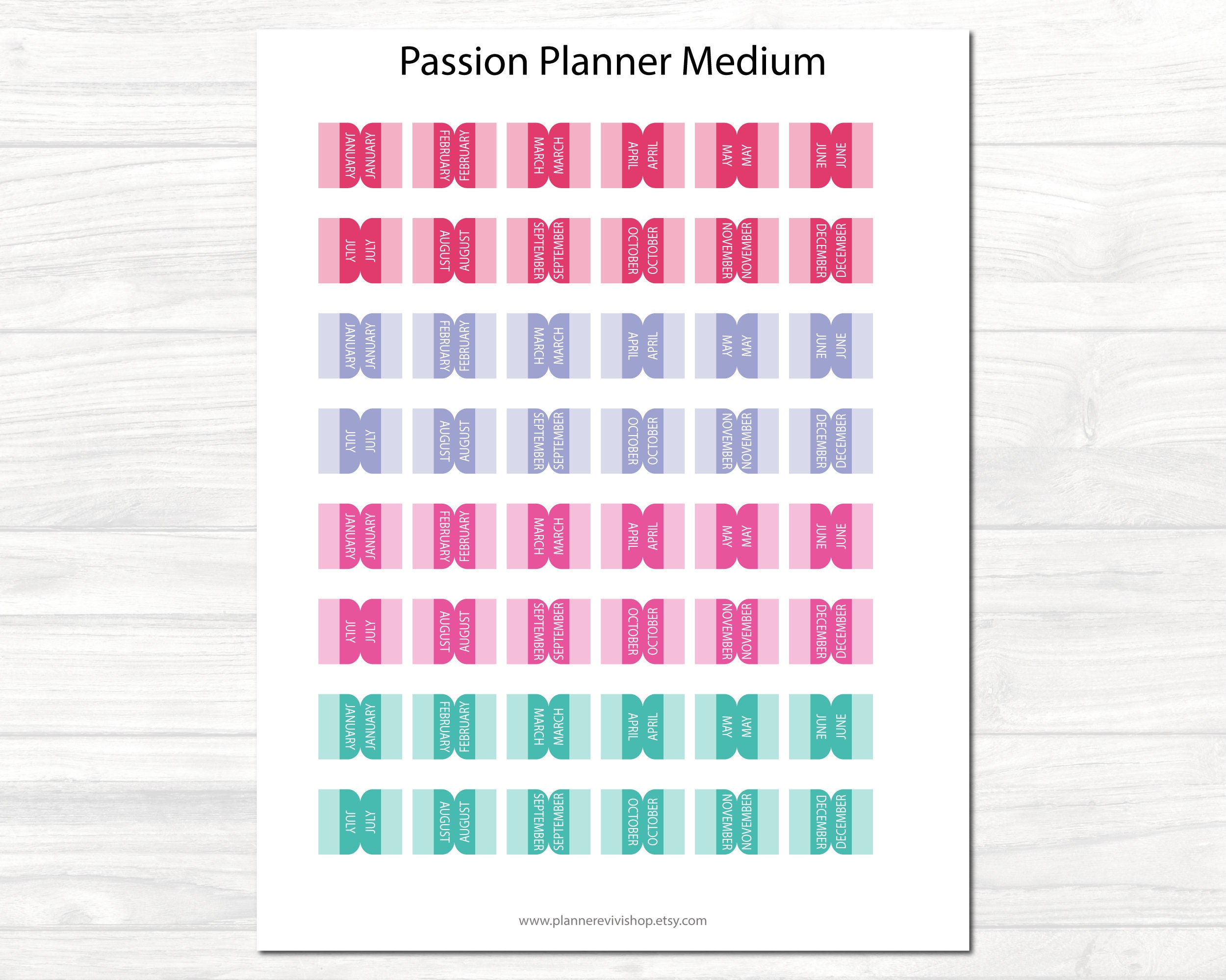 Passion Planner Stickers, Passion Planner Medium Monthly Tabs, Planner ...