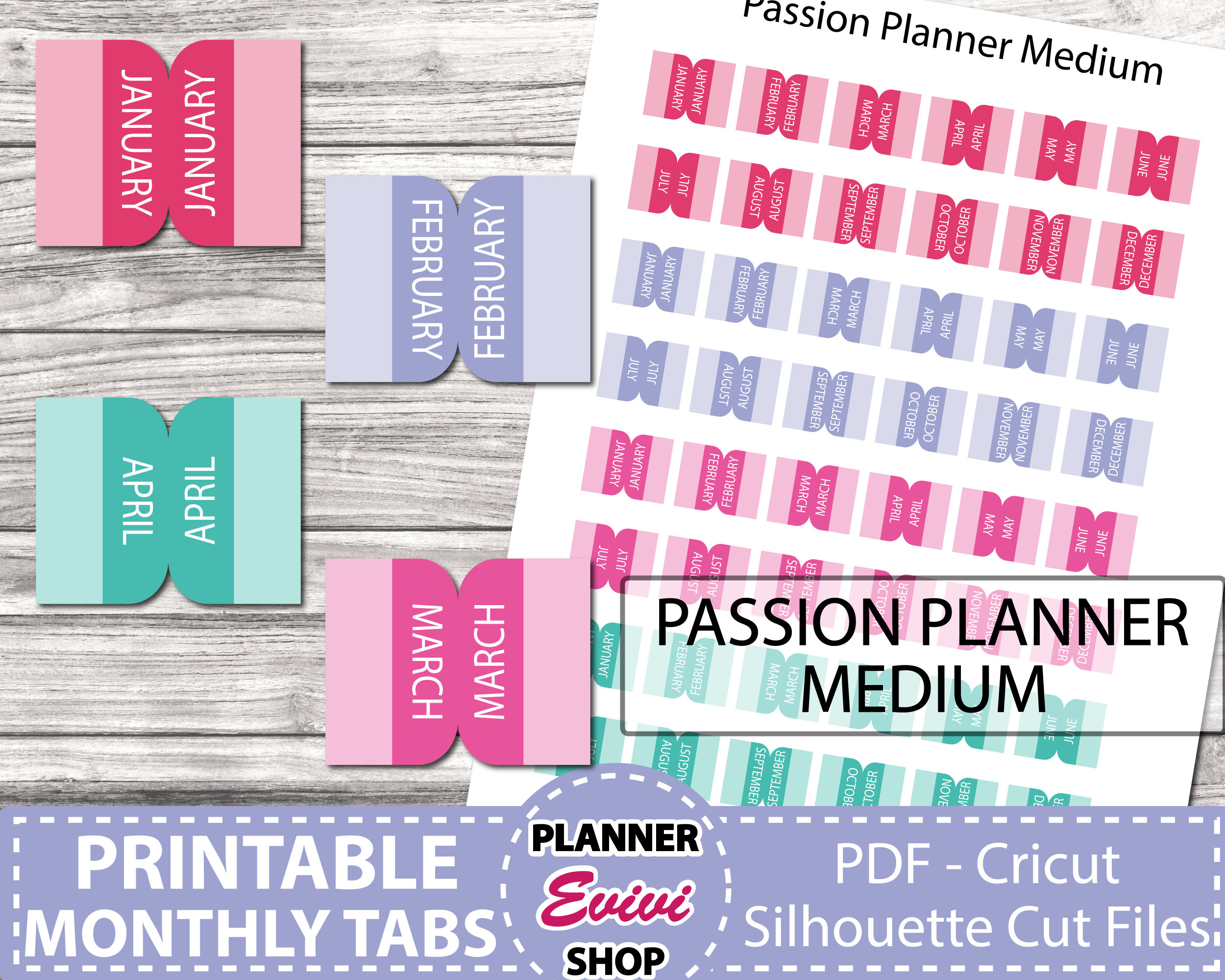Passion Planner Stickers, Passion Planner Medium Monthly Tabs, Planner ...