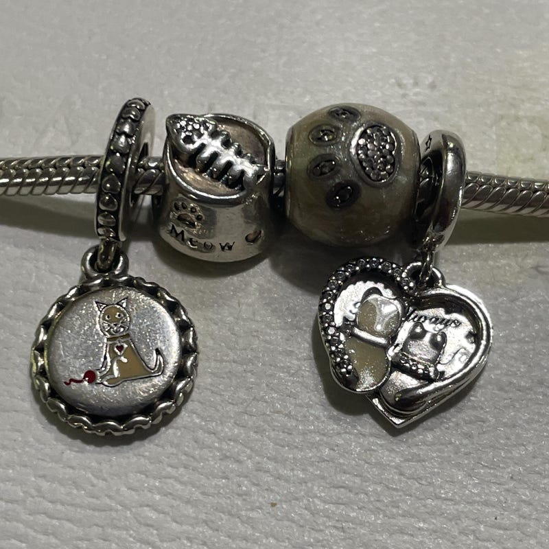 Pandora Zoo Animals Charm - Etsy