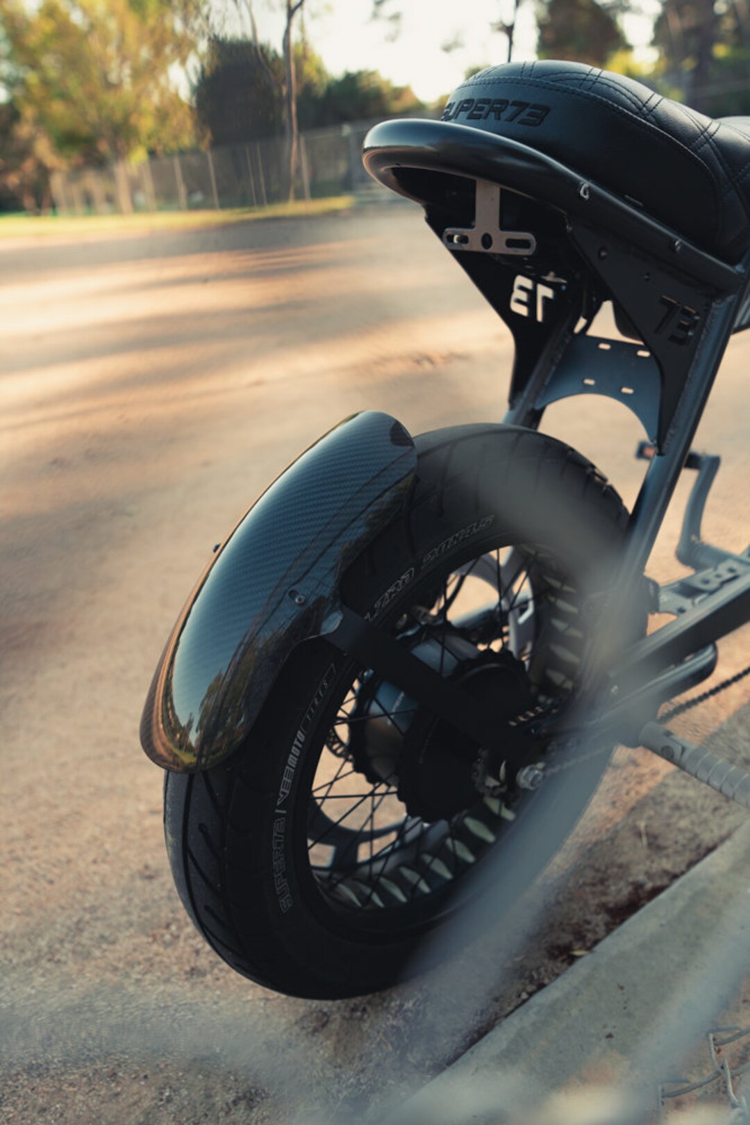 Rear Mudguard Carbon Fiber Edition - Etsy