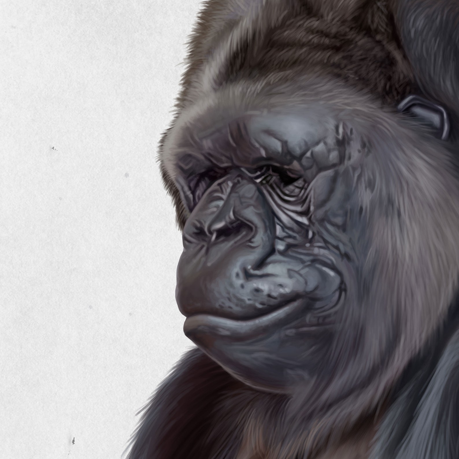 I Should, Koko (wordless) Poster Art Print Ideal Gift Wall Hanging ...