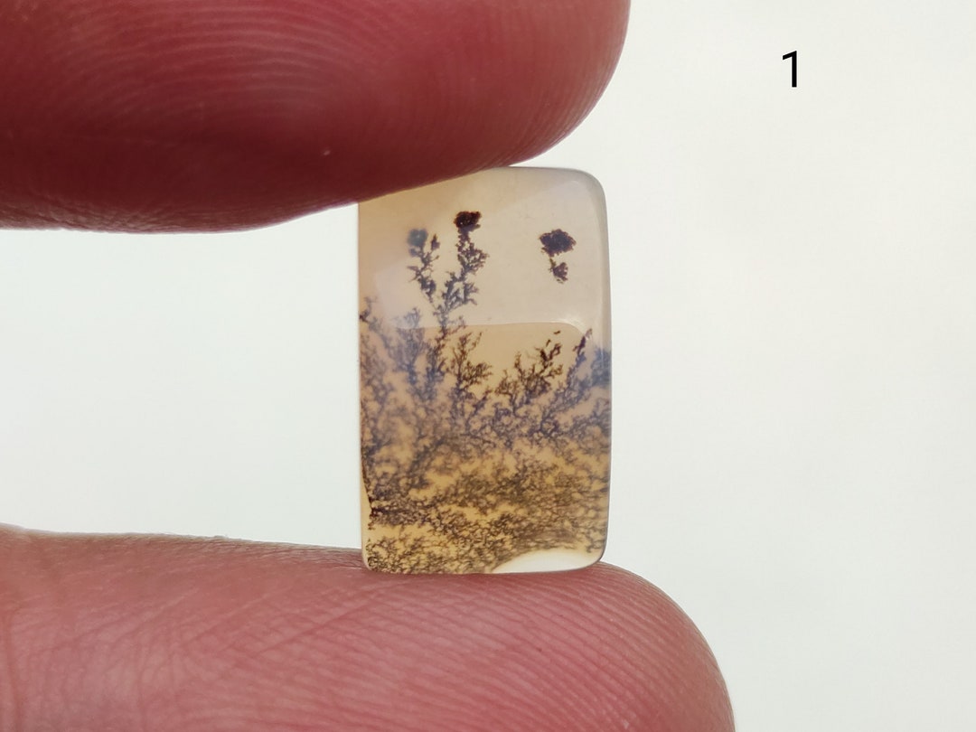 Natural Dendritic Quartz Cabochon, Dendrite Shazar Agate Cabochon ...