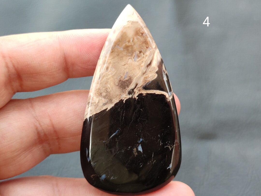 Natural Petrified Palm Wood Fossil Cabochon, Agatized Fossilized Palm ...
