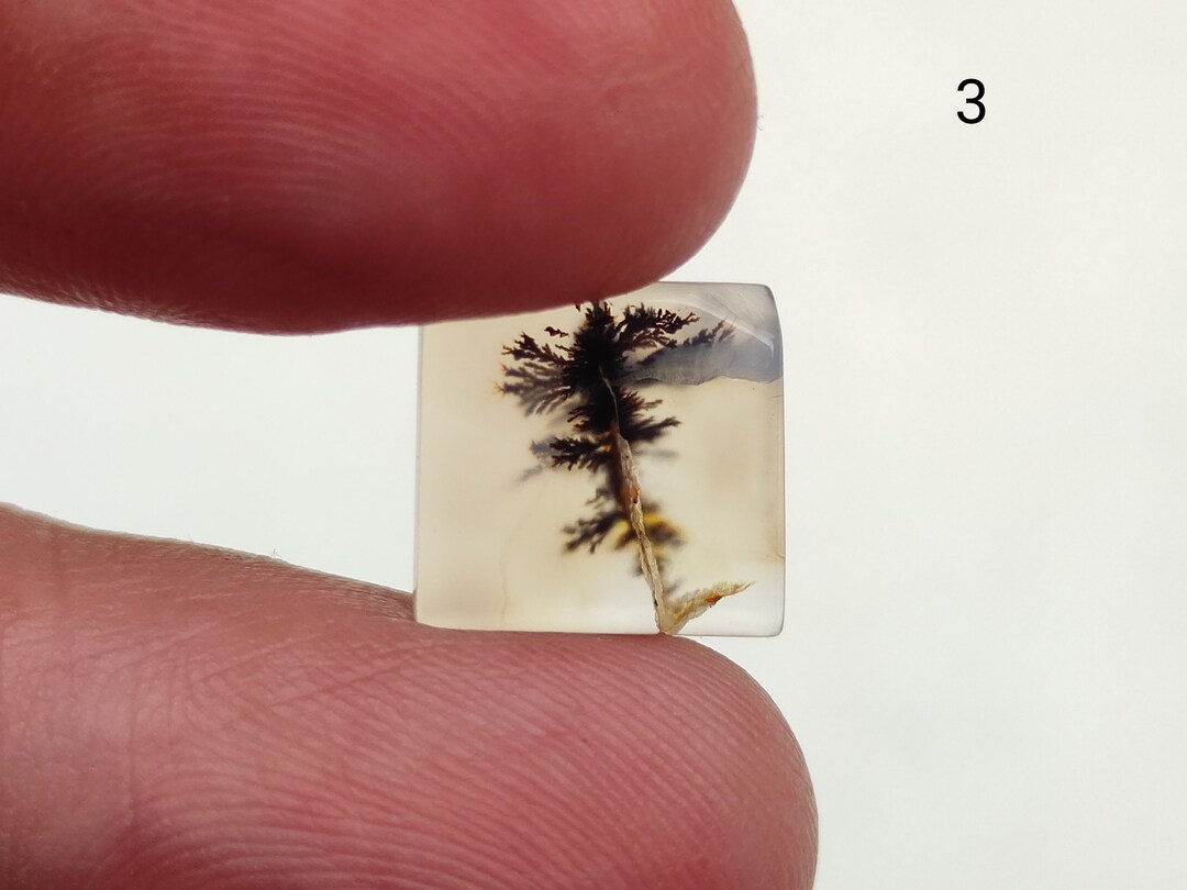 Natural Dendritic Quartz Cabochon, Dendrite Shazar Agate Cabochon ...