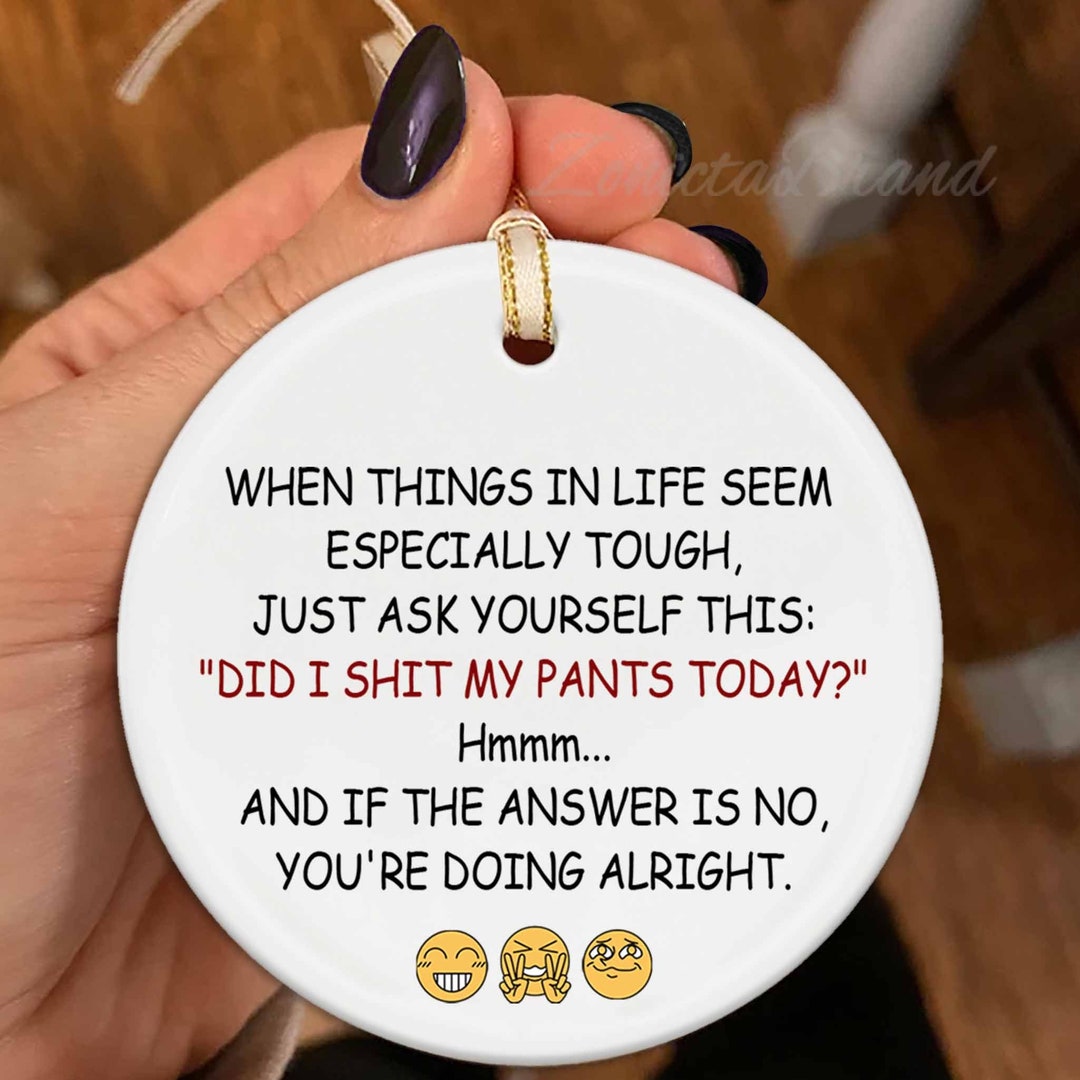 Did I Shit My Pants Today Ornament, Funny Coworker Ornament, Work ...