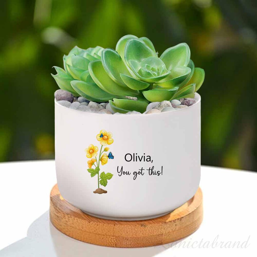 You Got This Custom Plant Pot, Personalized Planter for Graduation ...