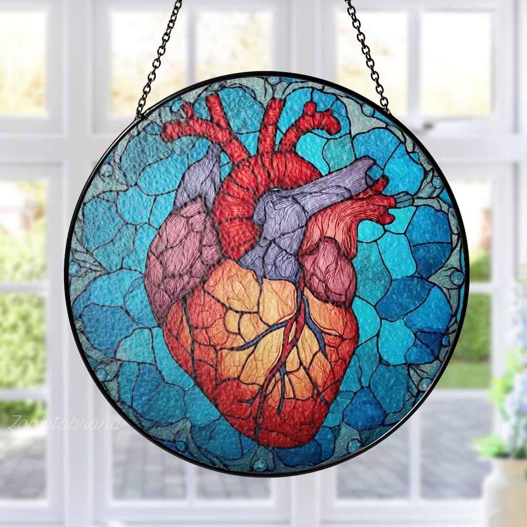Anatomical Heart Glass Suncatcher, Heart Anatomy Window Decor ...