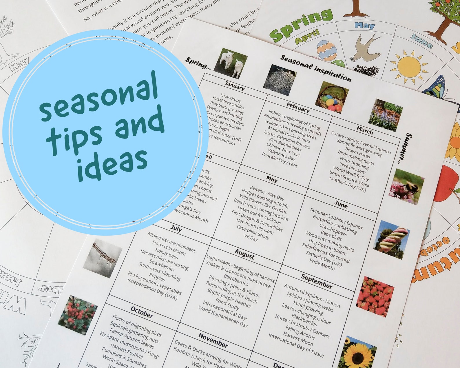 Phenology Nature Study Wheels 40 Page Guide With Tips & - Etsy