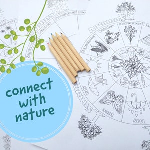 PHENOLOGY Nature Study Wheels 40 Page Guide With Seasonal Tips ...