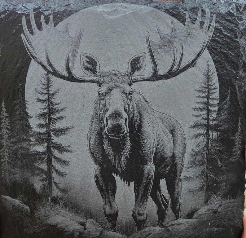 Moose in Wilderness Coaster Slate Laser Engraved - Etsy
