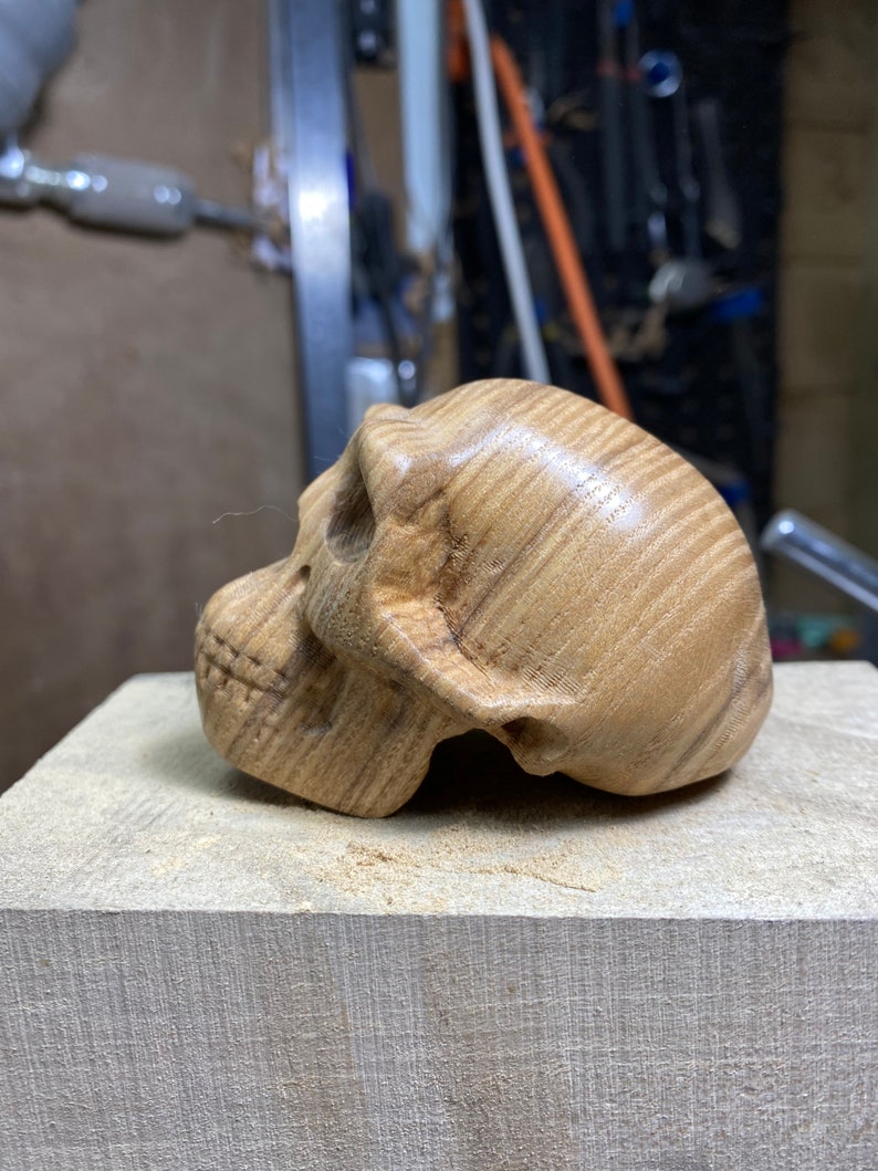 Homo Erectus Skull Carved in Scots Oak - Etsy