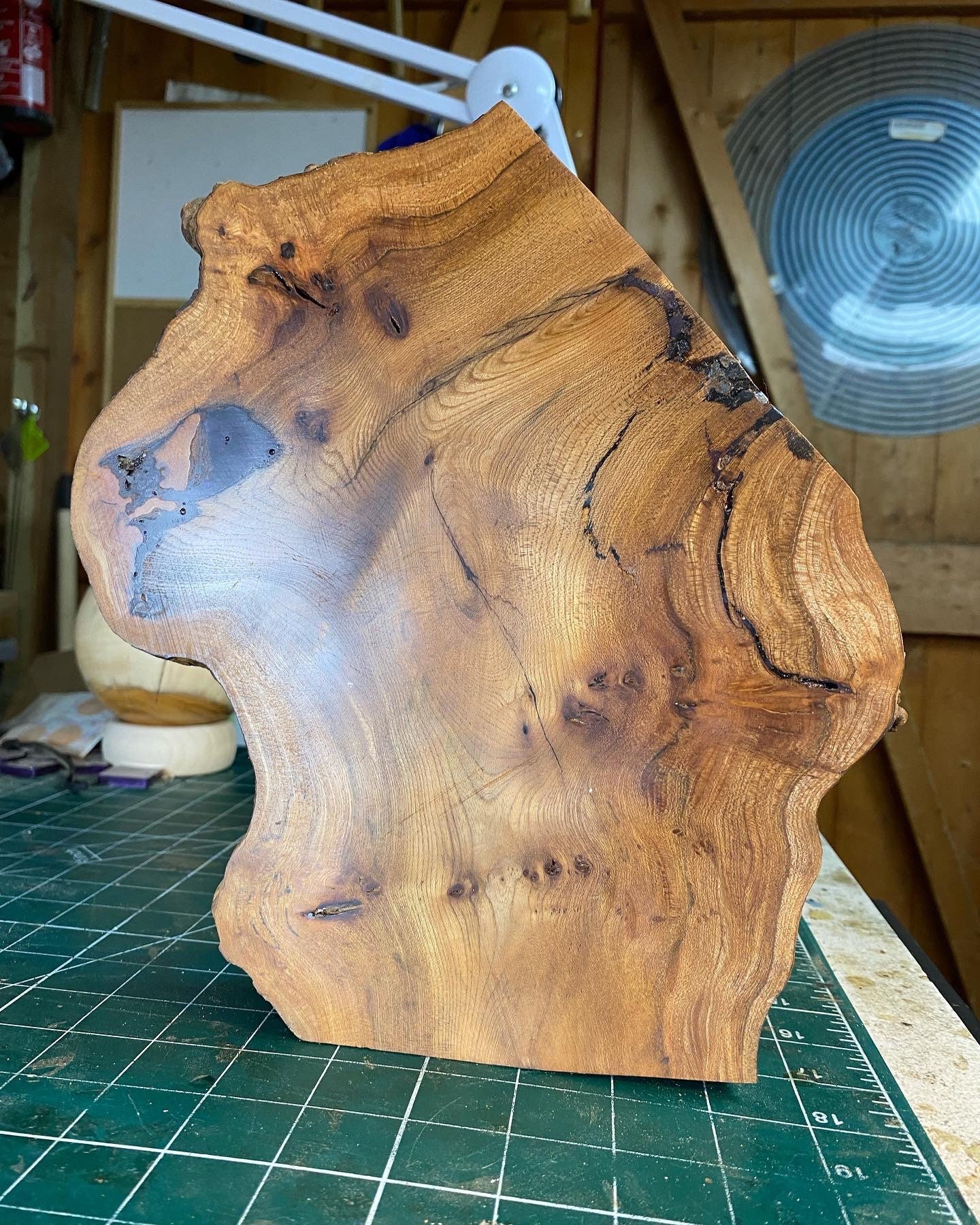 Wych Elm Burr Standing Bowl - Etsy