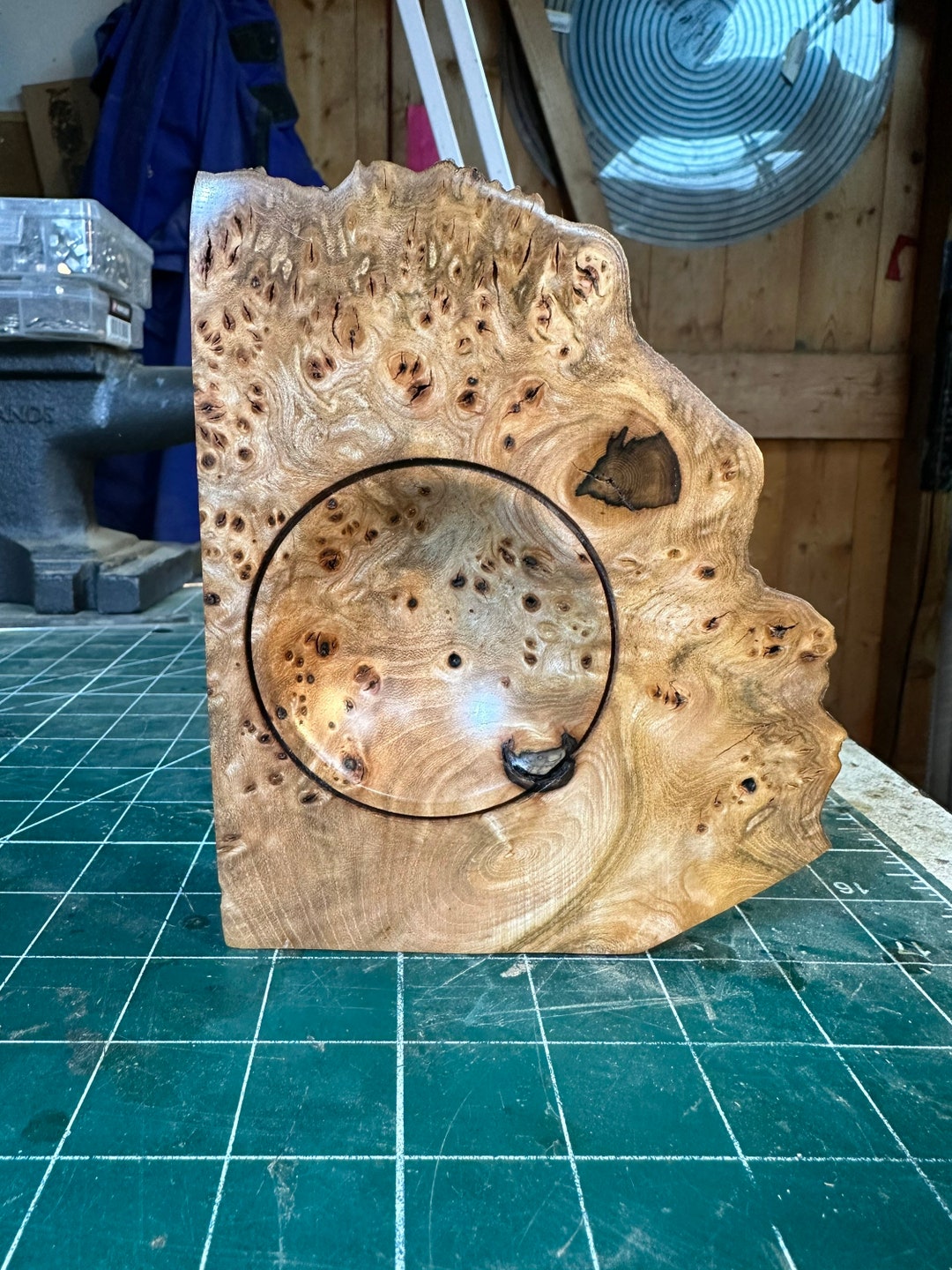 Small Burr Bowl in Pale Elm - Etsy