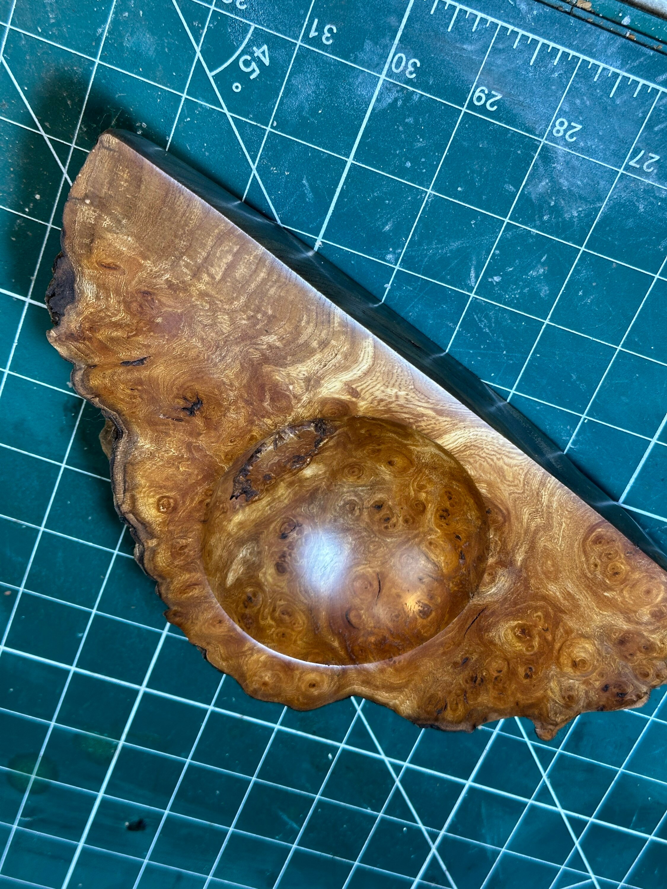 Wych Elm Standing Burr Bowl - Etsy