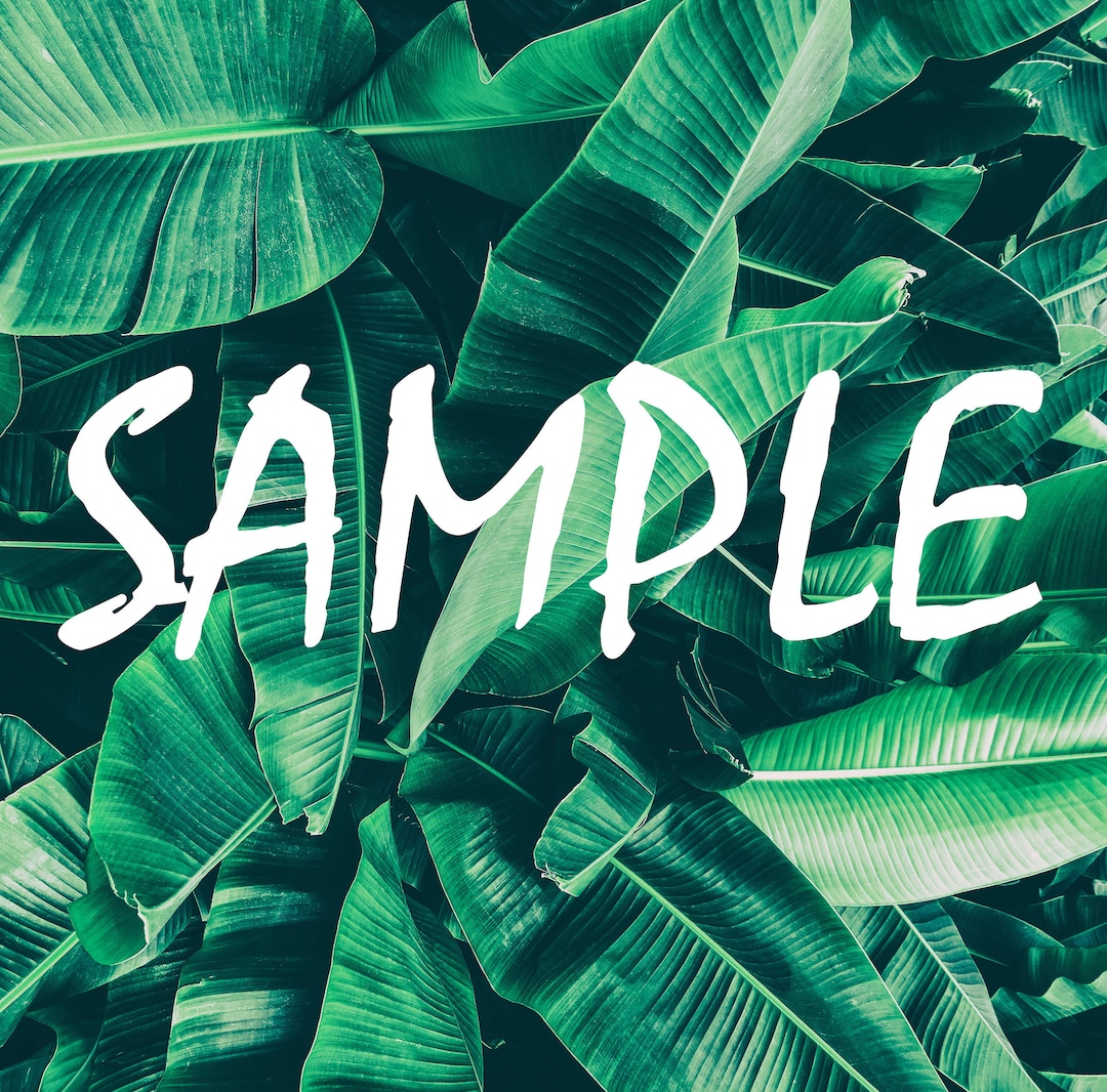 Wallpaper Sample Order, Removable Peel and Stick Wallpaper - Etsy