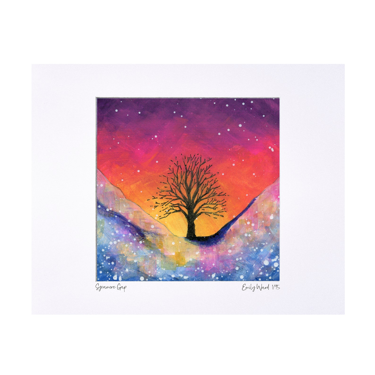 Sycamore Gap Limited Edition Print, Northumberland Tree Near Hadrians ...