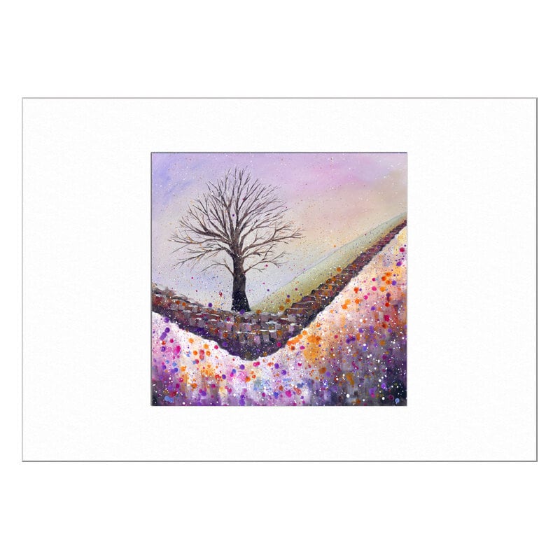 Sycamore Gap Snow Limited Edition Print, Northumberland Tree Near ...
