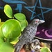 Altar Crow/raven Statue - Etsy