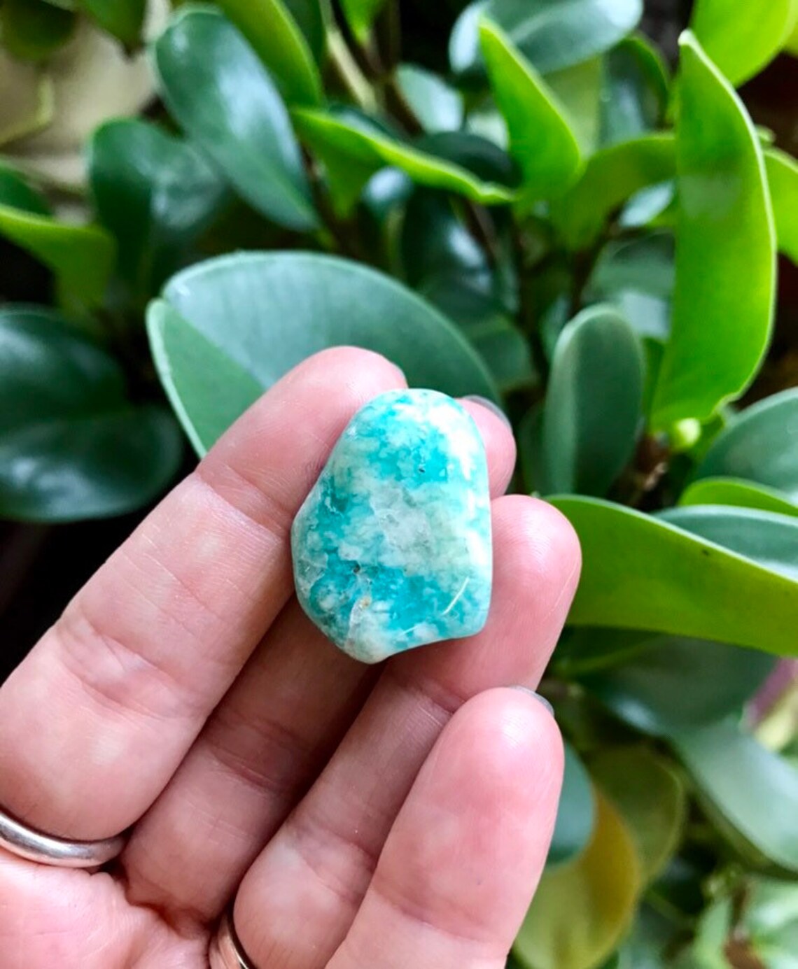 Anxiety Be Gone Spell Kit - Etsy