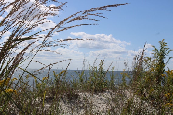 Cape May Beach Scene-5x7 Photo Art Card arte framable | Etsy
