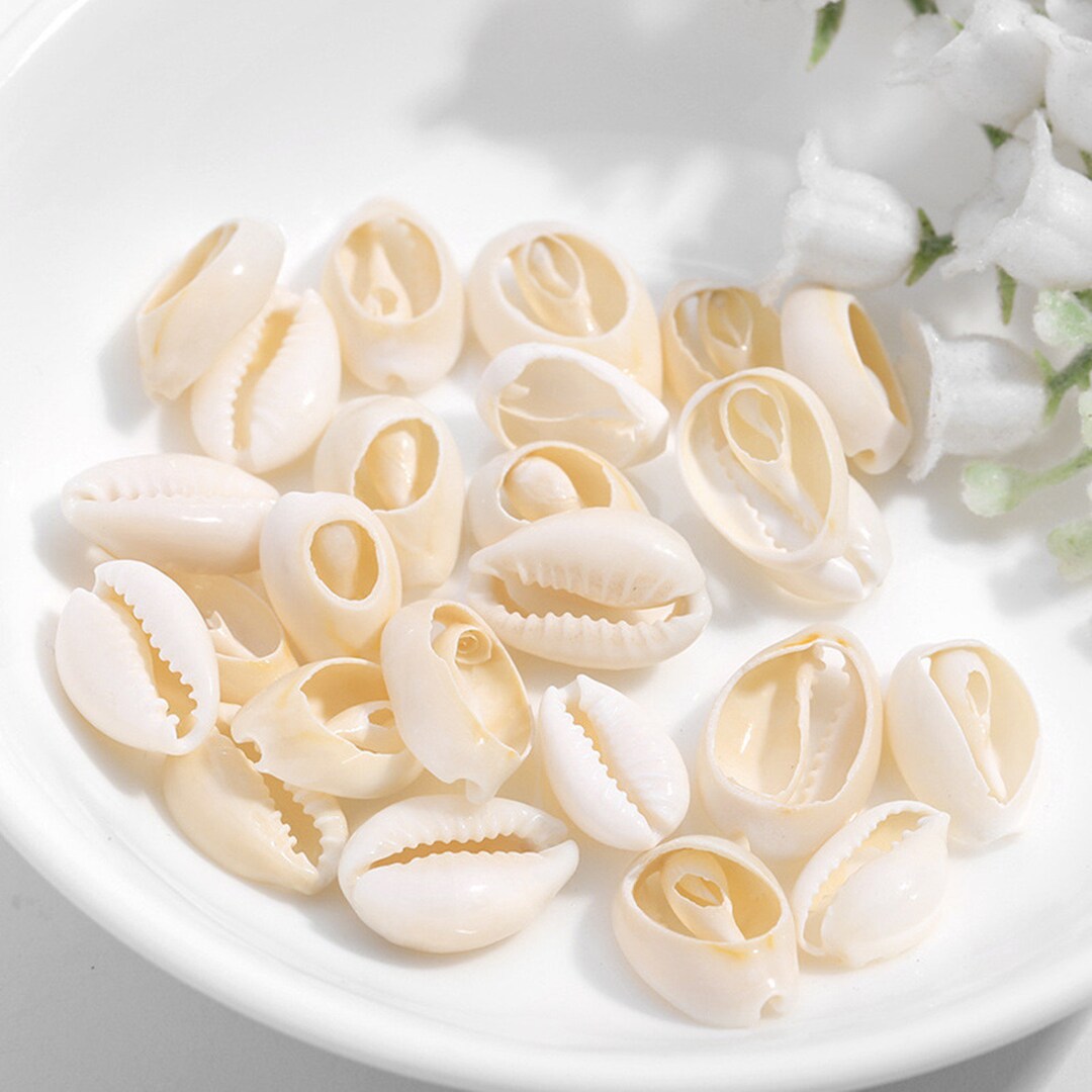 50 Pcs/100 Pcs Natural Sea Shells cowrie Shellmoney Shell - Etsy