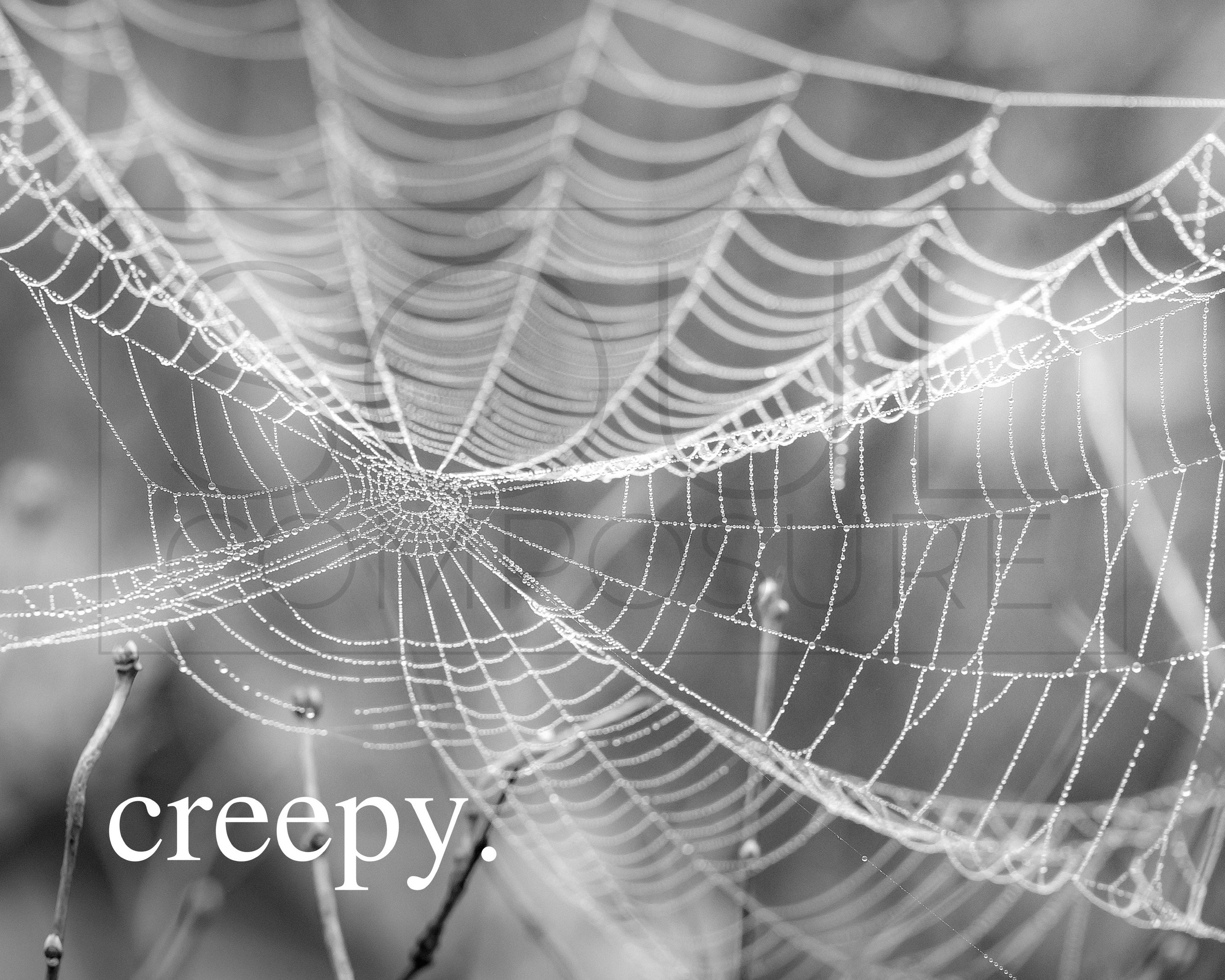 Creepy Spiderweb Halloween Printable, Instant Download, 8x10, Wall Art ...